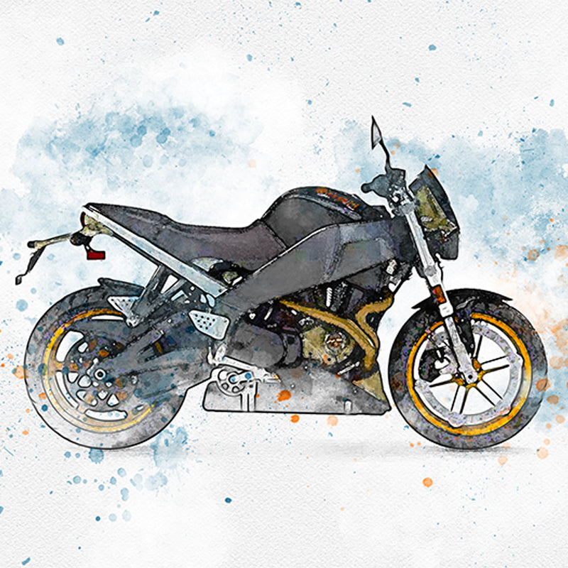 Buell Models – MANUAL HEAVEN